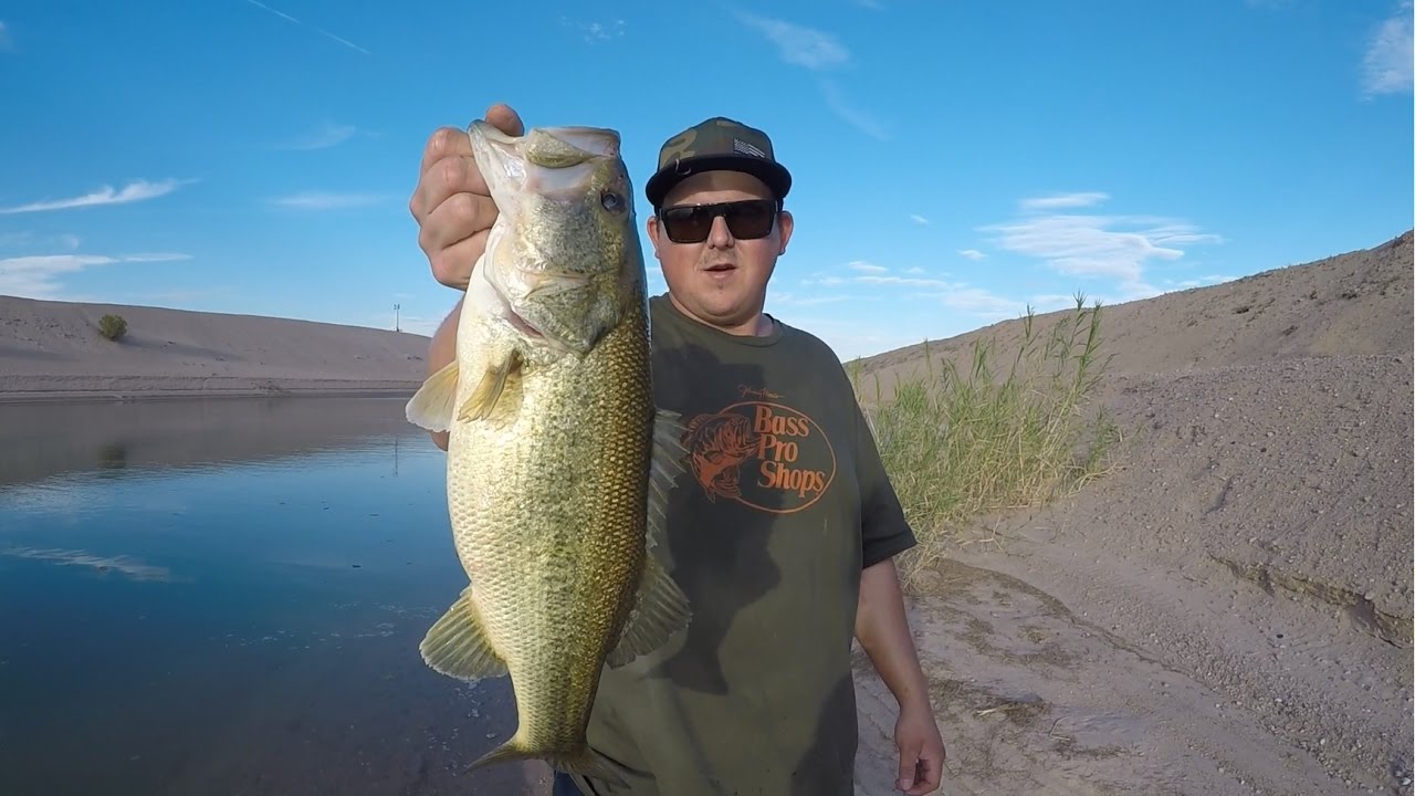 BfvsGf fishing channel - YouTube