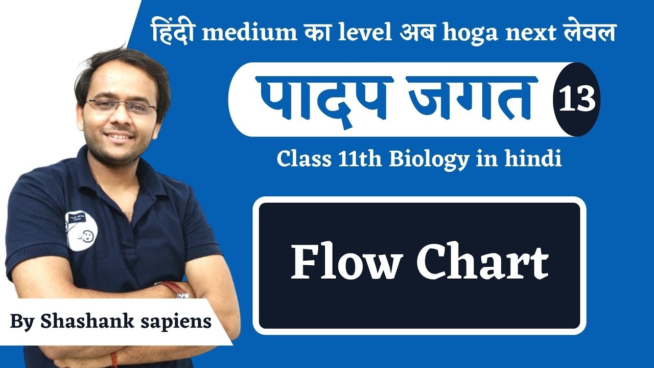 CH 03 || Plant kingdom || Flow Chart || Class 11th || Lec 13 - YouTube