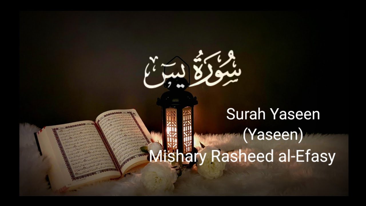036, Surah Yaseen, Beautiful recitation, Mishary Rasheed al-Efasy @holyquranrecitation328 - YouTube