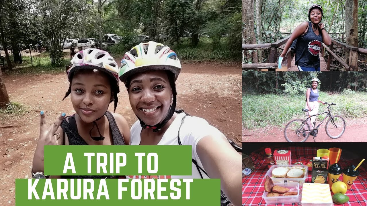 We went to Climb Trees| Bike| Picnic at Karura Forest - YouTube