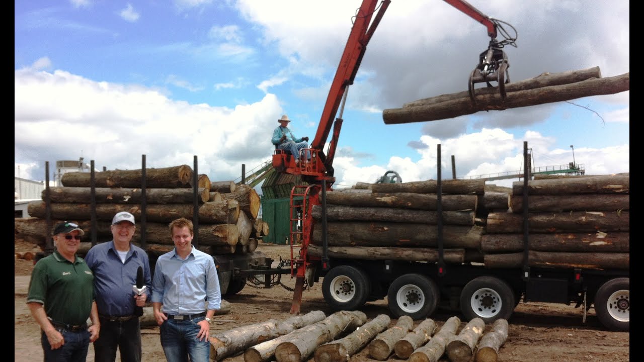 Logs To Lumber, A Sustainable Forest Story - YouTube