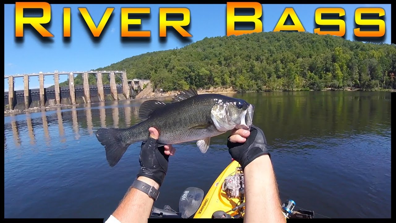 How to Catch Bass on a Top Water Whopper Plopper - Hobie Outback Kayak ...