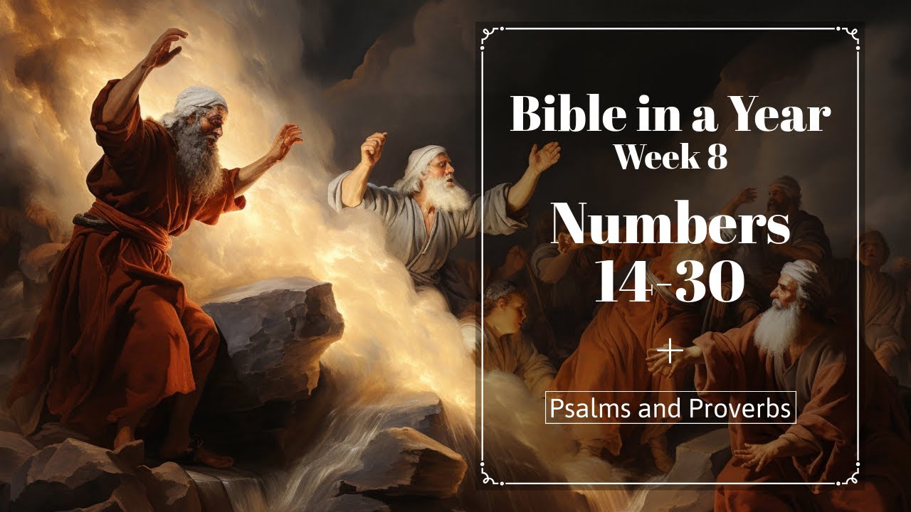 Bible in a Year - Numbers 14-30 - YouTube