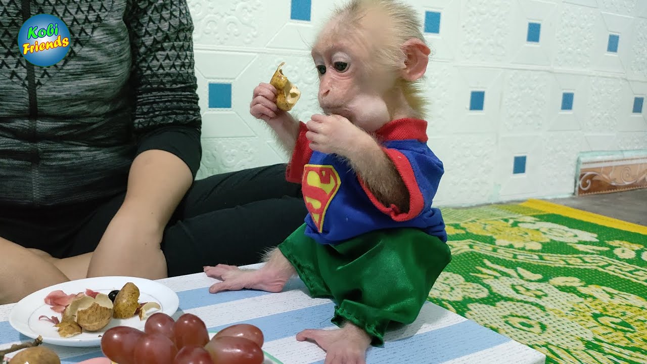 Kobi monkey eating fruit with mom - YouTube