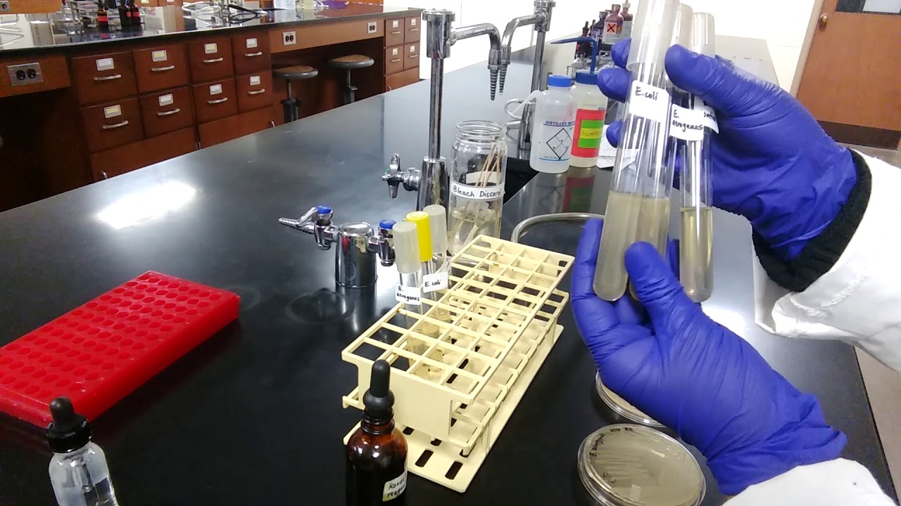 SIM Test Procedure - YouTube