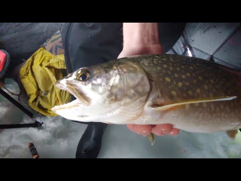 Extreme Cold Lake Trout! - YouTube
