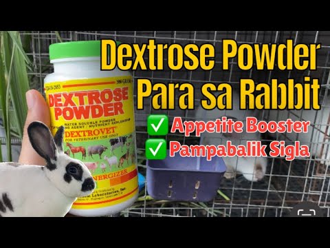 Dextrose Powder para sa Rabbit - YouTube