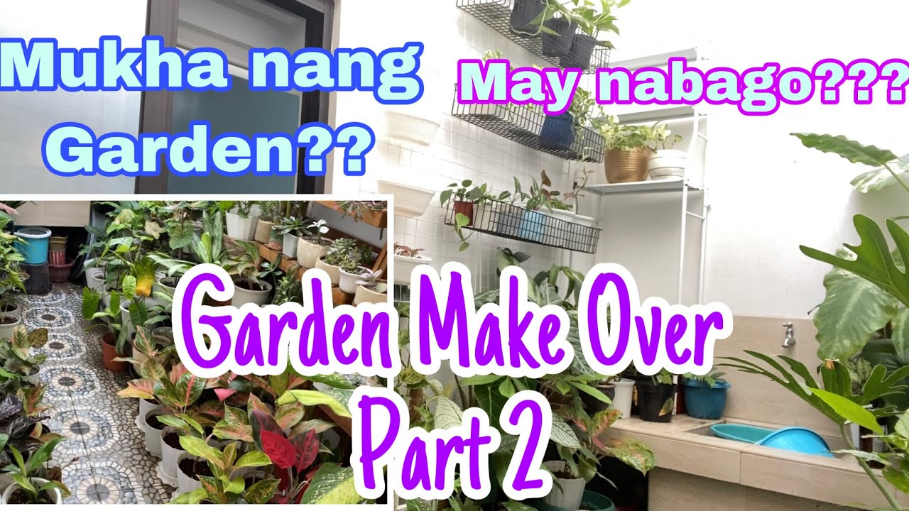 Garden Make-Over 2021 | How to organize plants in small space - Part 2 ...