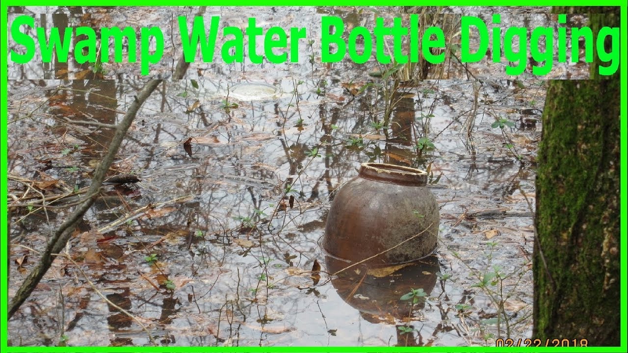 Rising Swamp Water Bottle Digging Bird - YouTube