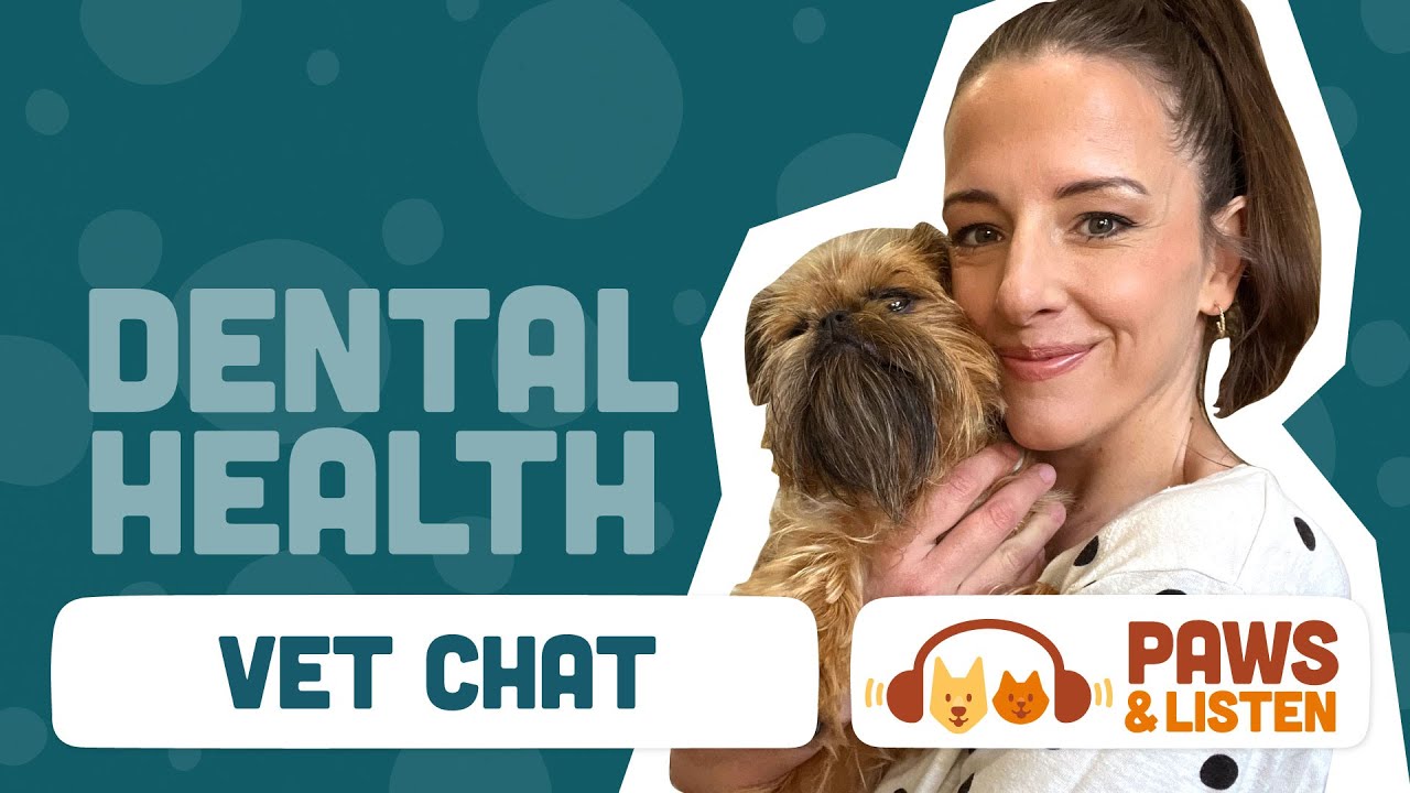 Vet acceptance of raw feeding with Dr Nicole Rous - YouTube