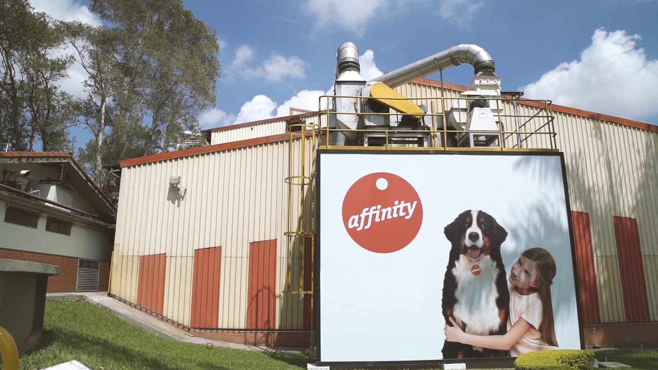 CASE EAÍ - AFFINITY DIA-D - YouTube