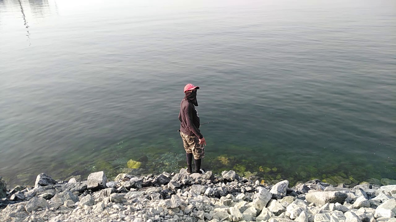 Mandaragat at mangingisda | Shore rock catching queen fish & snapper ...