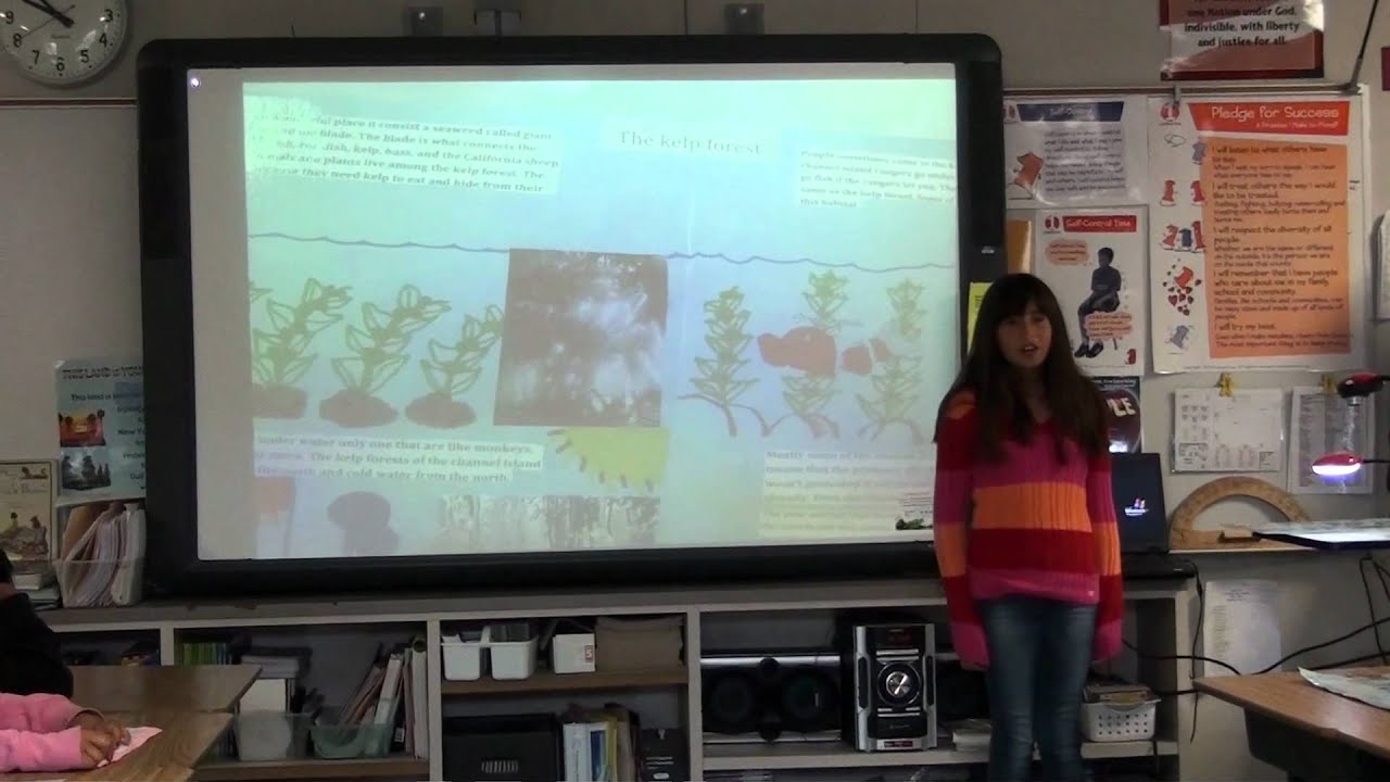 A sample of student presentations - end of year projects for MERITO ...