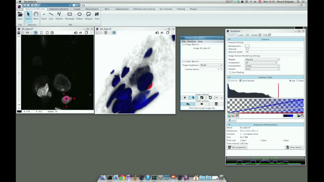 Active Cells 3D plug-in for icy - YouTube