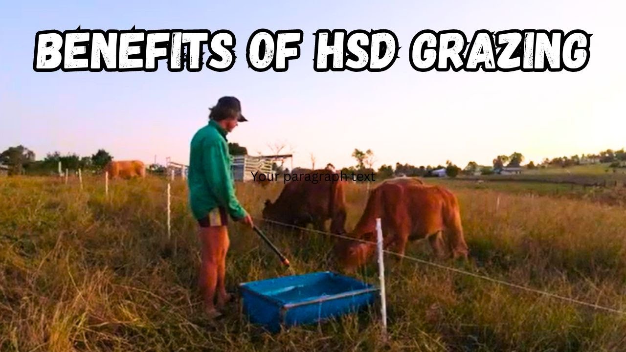 WOW...CHECK OUT WHAT HIGH STOCK DENSITY GRAZING HAS DONE!! - YouTube