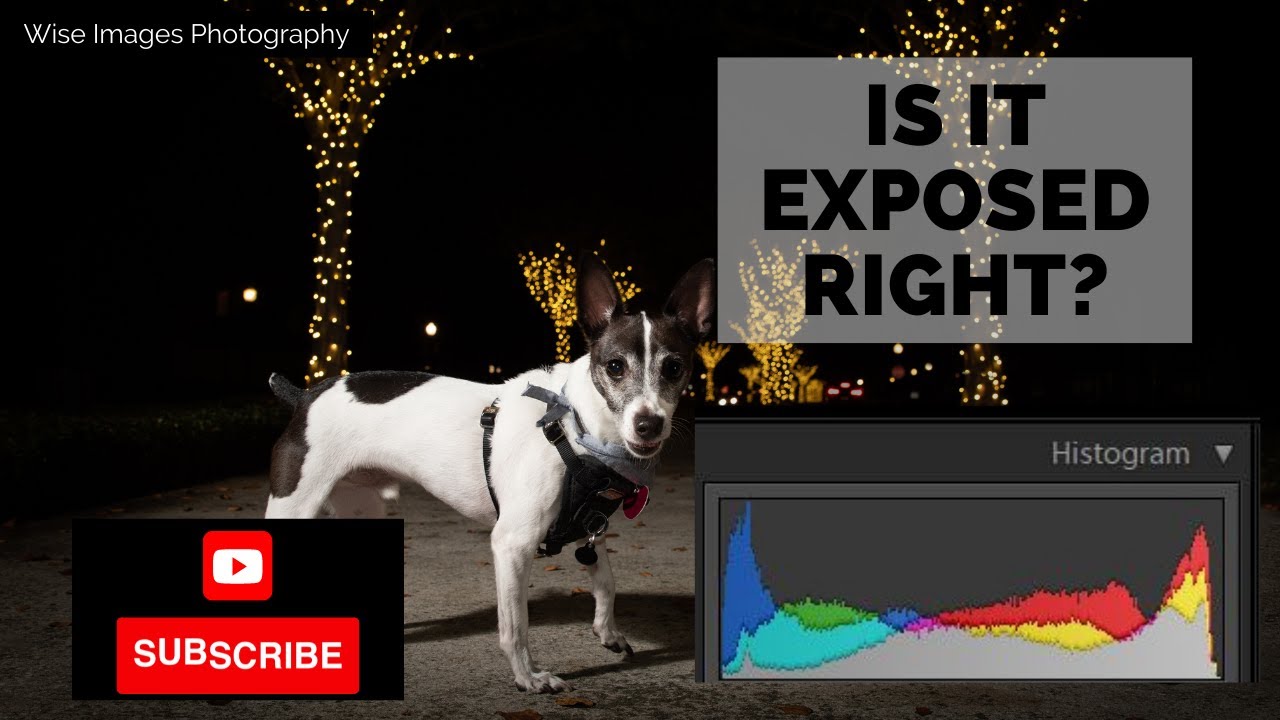 Easy to Understand Histograms//Beginner Photographers//Exposure help ...