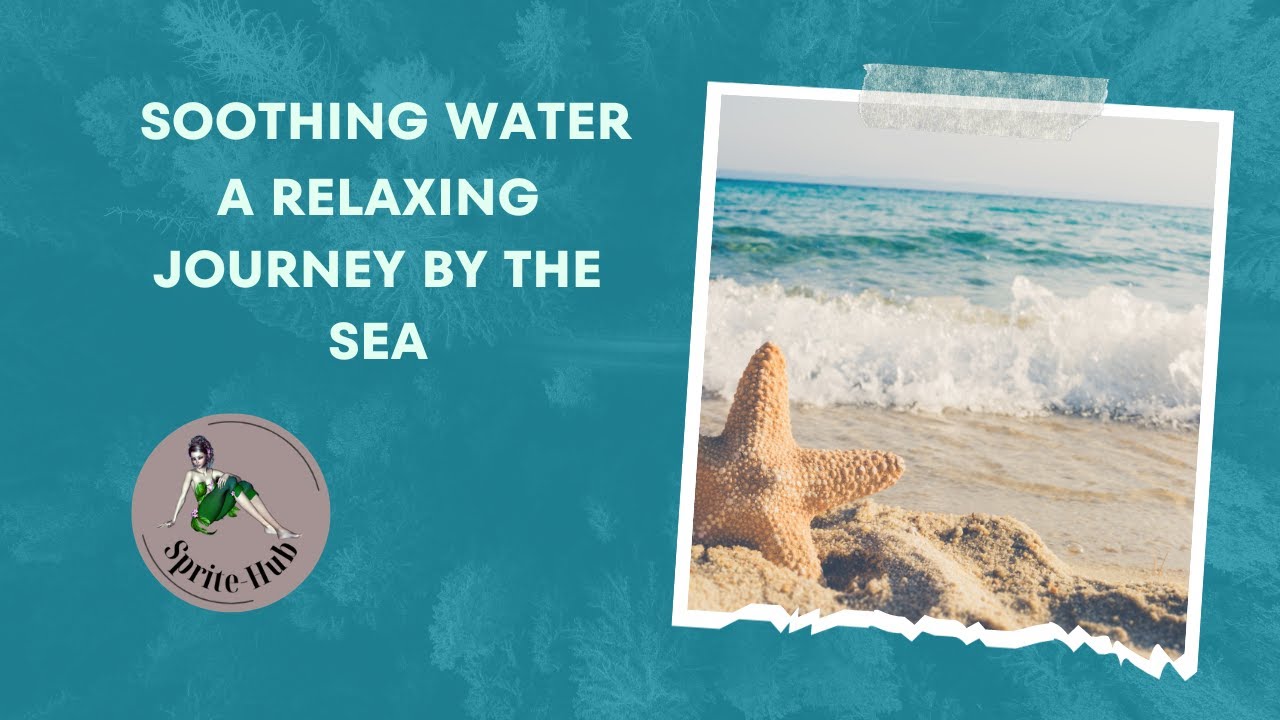 Soothing Waters A Relaxing Journey by the Beach | Clear Your Mind ...