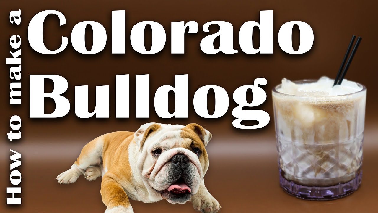 How to Make a Colorado Bulldog – Bartender Training & Classic Cocktail ...