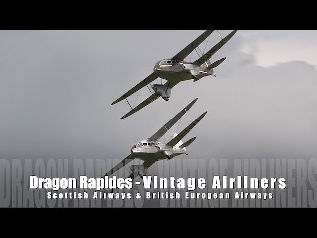 European Dragons In Flight