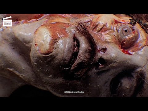 Jaws 3-D: A dead body in the park's water HD CLIP