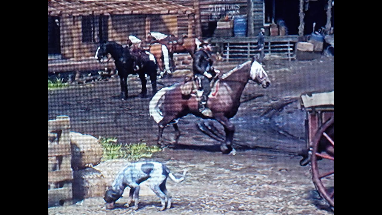 Red Dead Redemption 2 Arthur With John's Horse Old Boy Speed And ...