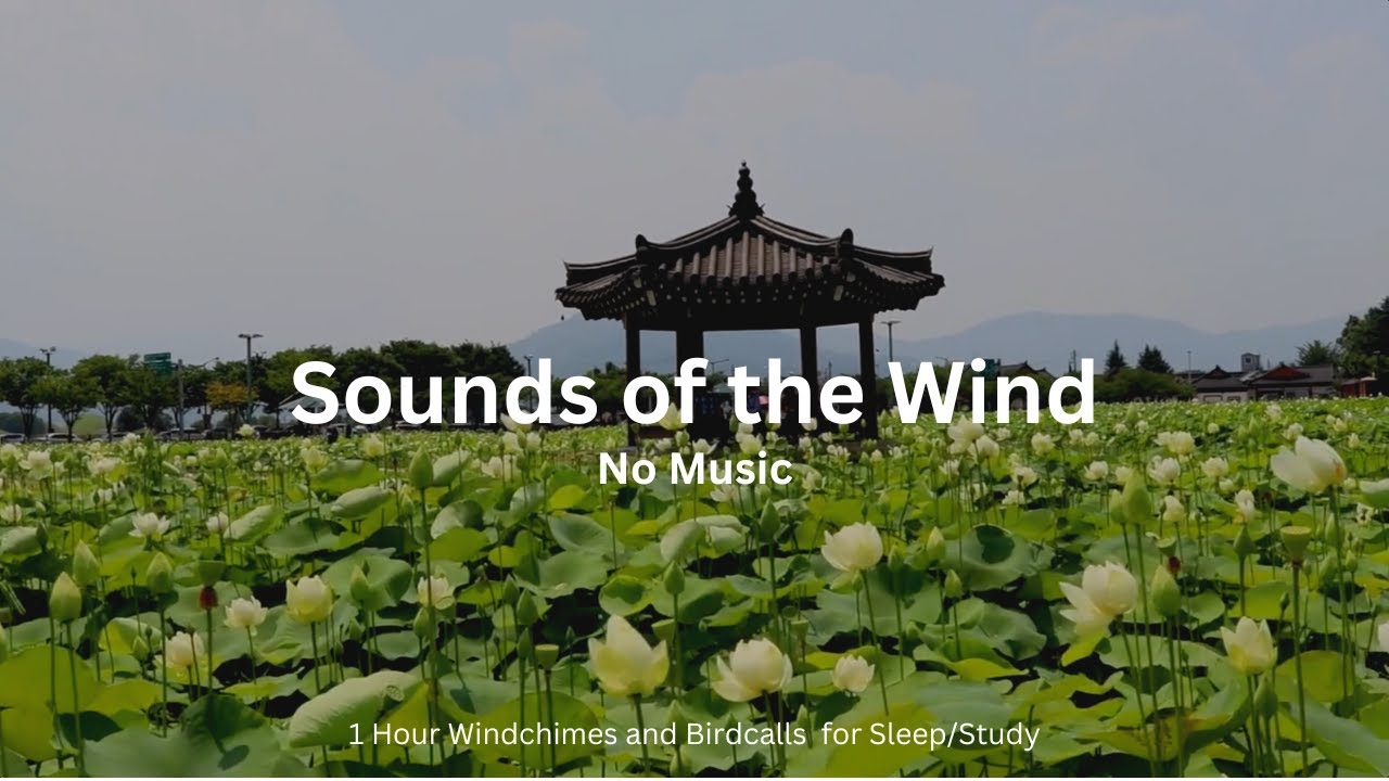[ASMR] Sounds of Wind, Birds and Wind Chimes for Relaxation/Study/Work ...
