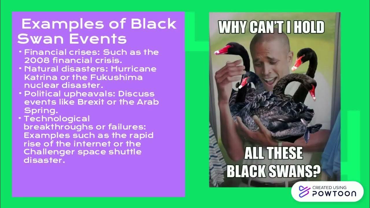 What is a Black Swan Event? - YouTube