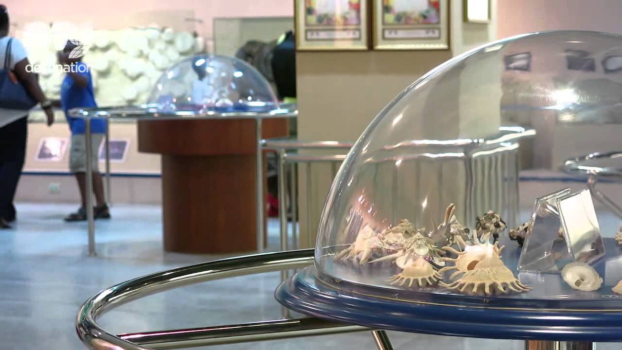 Phuket Sea Shell Museum - Phuket - YouTube