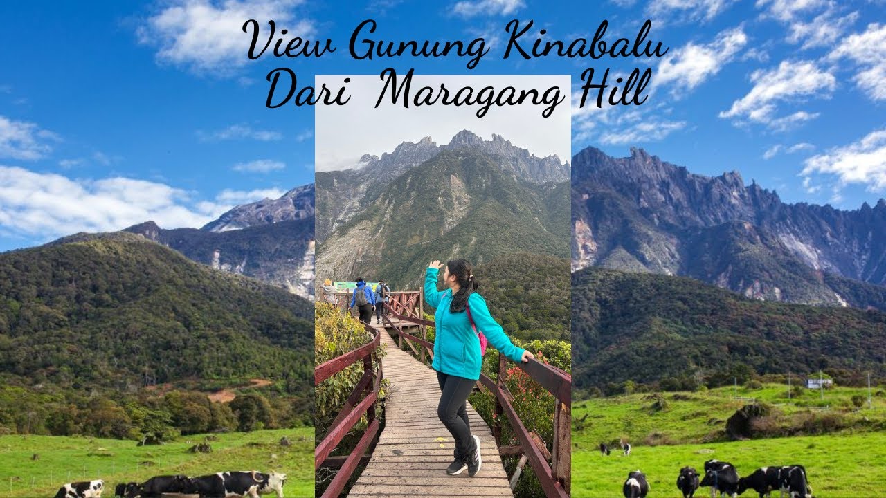 Hiking Di Maragang Hill, Kundasang Sabah | View Gunung Kinabalu Hati ...