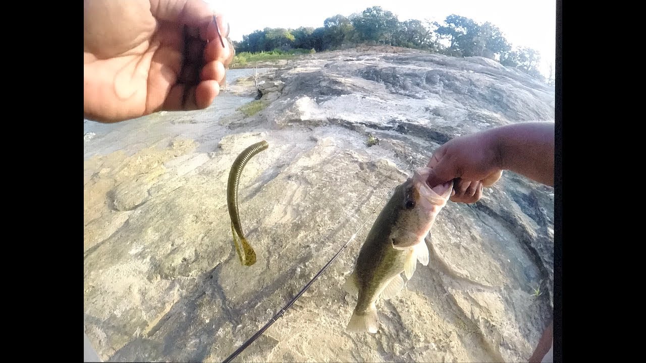 BASS FISHING WITH A CUT R WORM BY STRIKE KING - YouTube