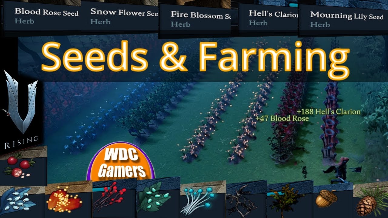 VL40 V Rising - Seeds and Farming - YouTube