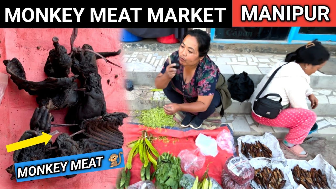 Manipur: Monkey Meat Market will blow your Mind 🐒 | Churachandpur - YouTube