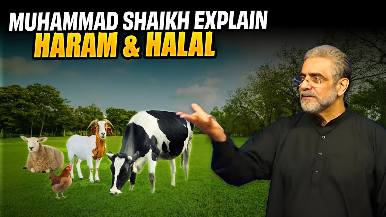 Muhammad Shaikh Explain Halal and Haram According To Quran - YouTube