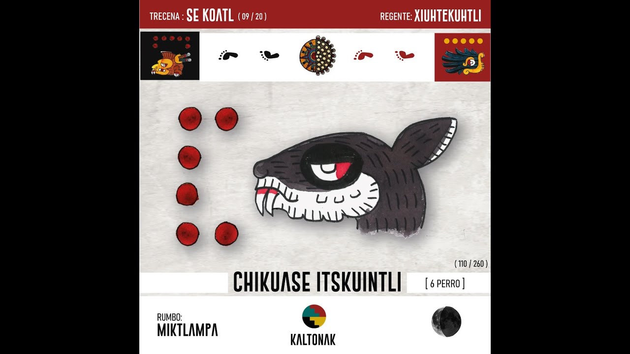 Tonalli Chikuase Itskuintli / 6 Perro Lectura e interpretación - YouTube