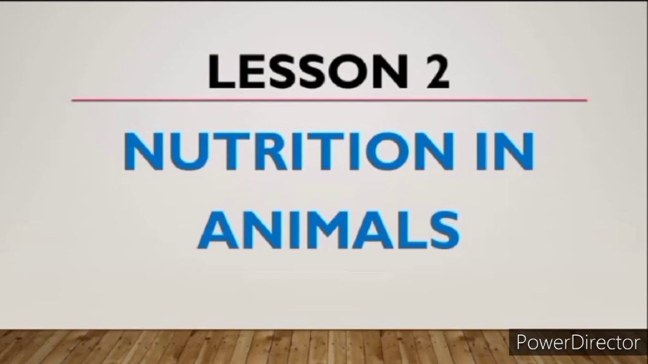 Class 7 Science Chapter 2 Question Answer YouTube class-7-science-chapter-2-question-answer-youtube
