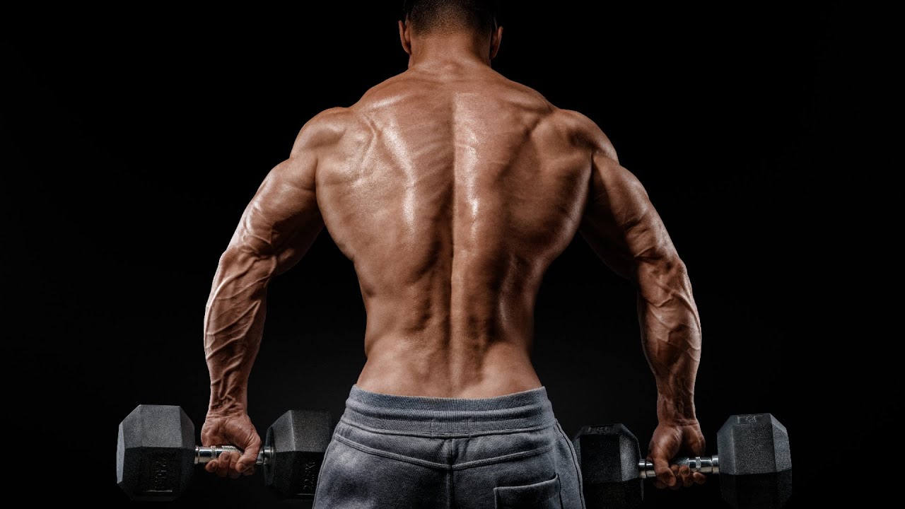 6 Best Back Exercises For Bigger Lats | Step By Step - YouTube