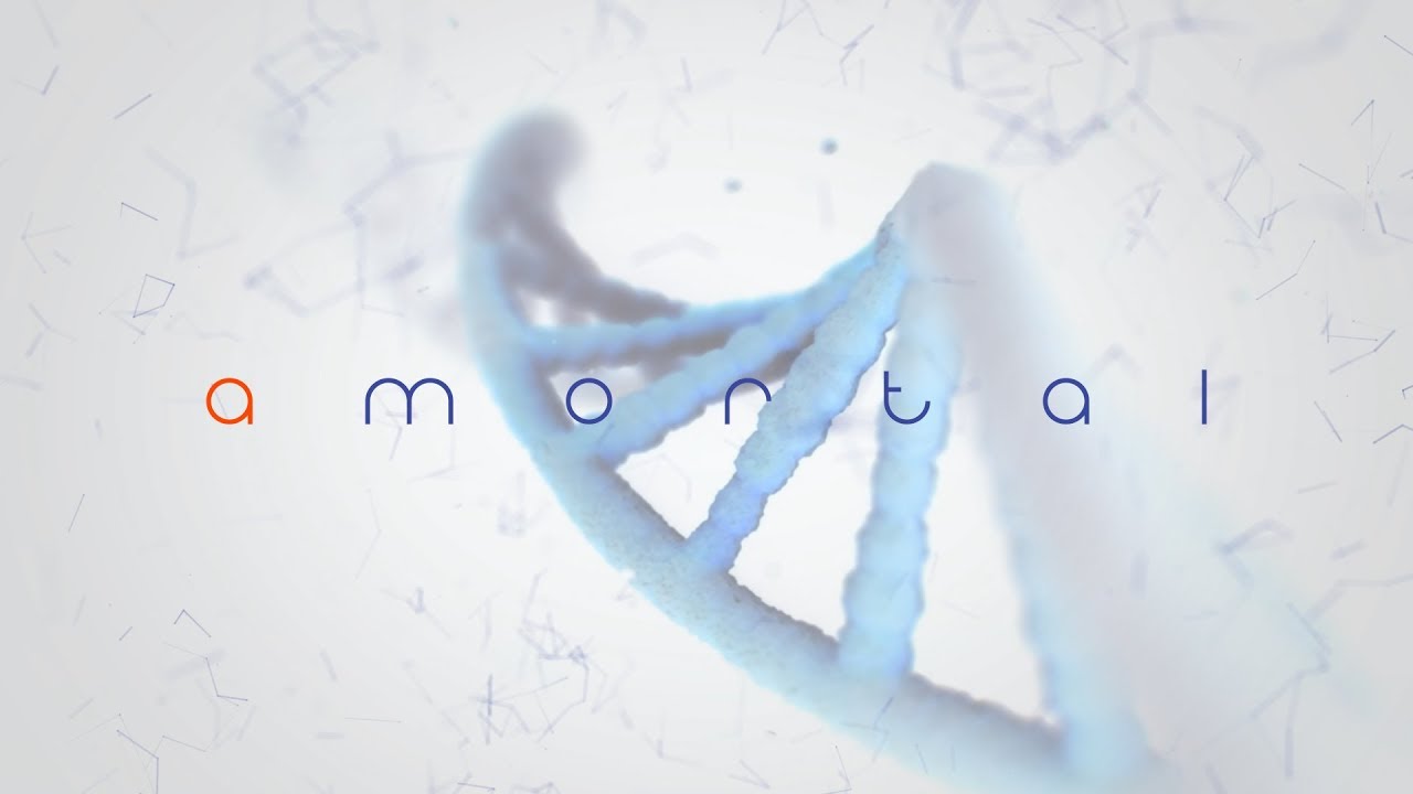 What if we had more time? - New Series [AMORTAL] Teaser - YouTube
