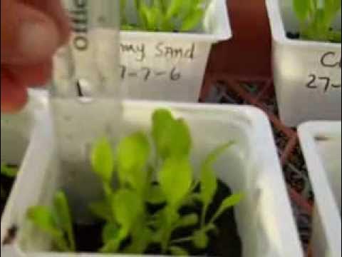 Soil Texture Experiment Follow Up - YouTube