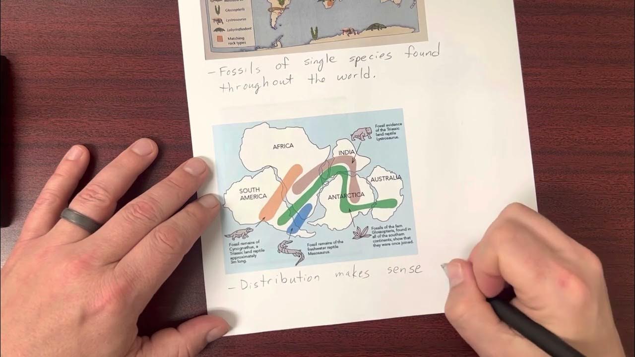 Alfred Wegener and Continental Drift Lecture - YouTube