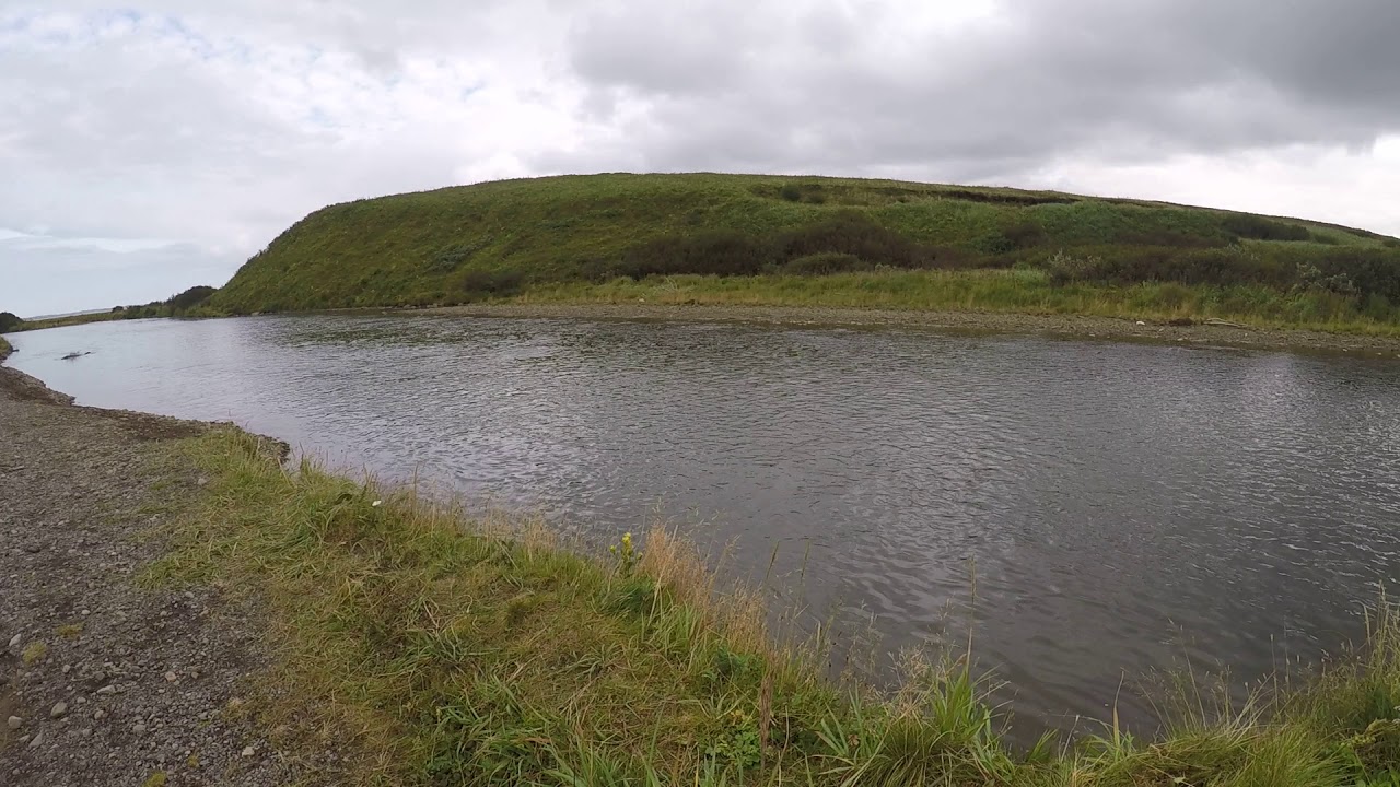 cold bay 2017 - YouTube