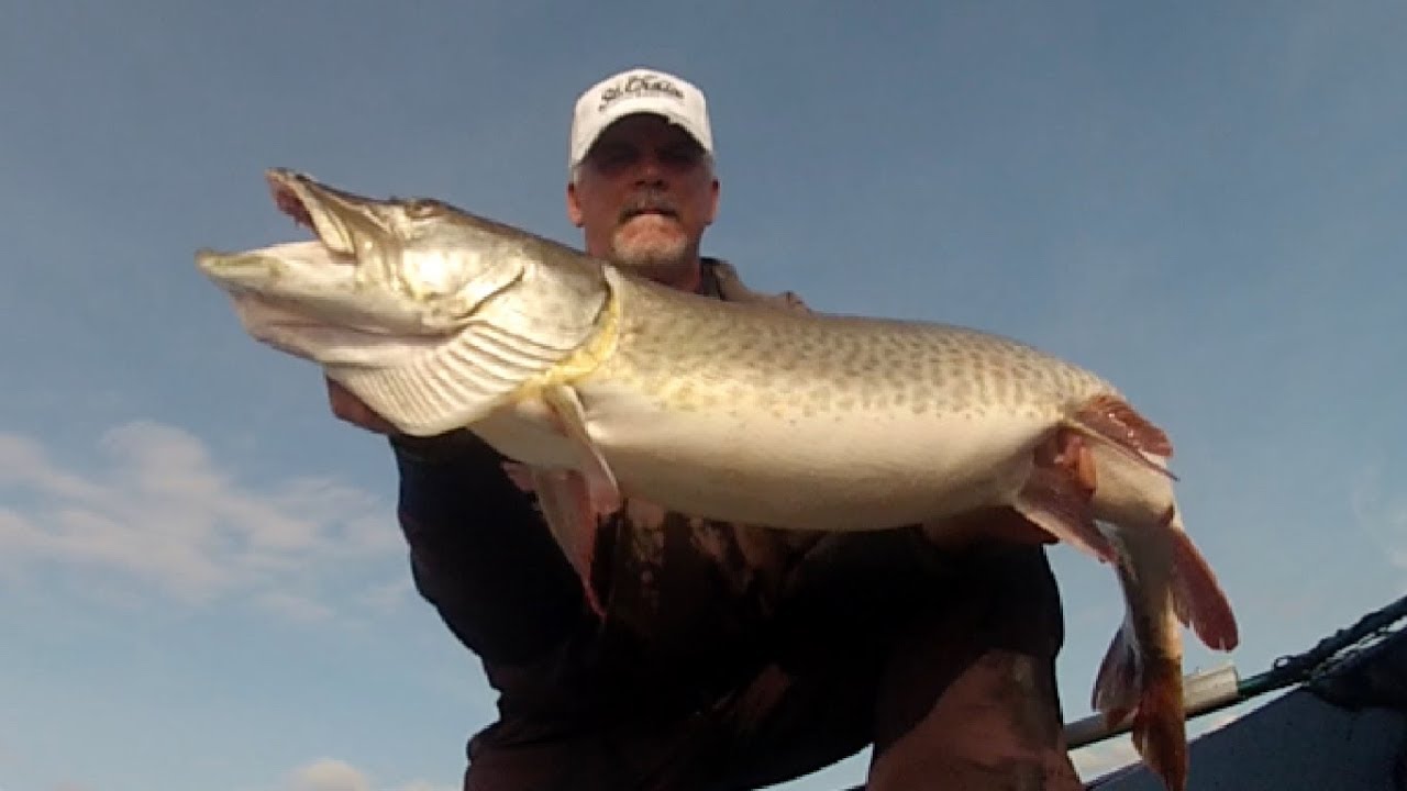 Eagle Lake Musky - You Eat When I Say You Eat - YouTube
