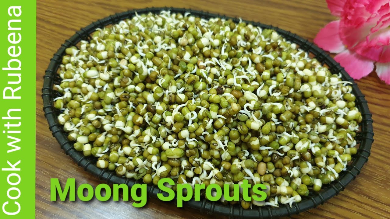 How To Make Sprouts At Home | - YouTube