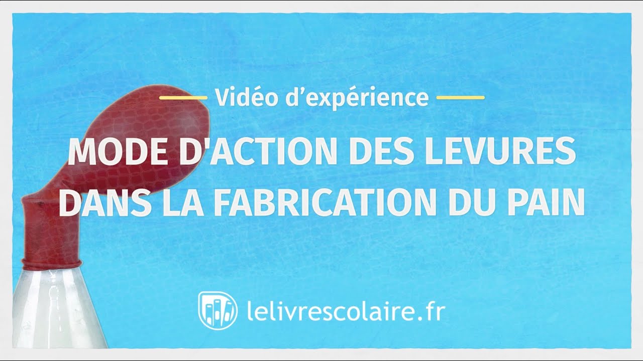 Vidéo d’expérience : L'effet des levures (Sciences et Technologie 6e ...
