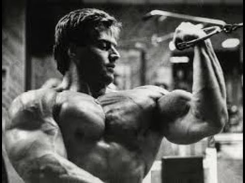 Unveiling the Journey of Berry De Mey - YouTube