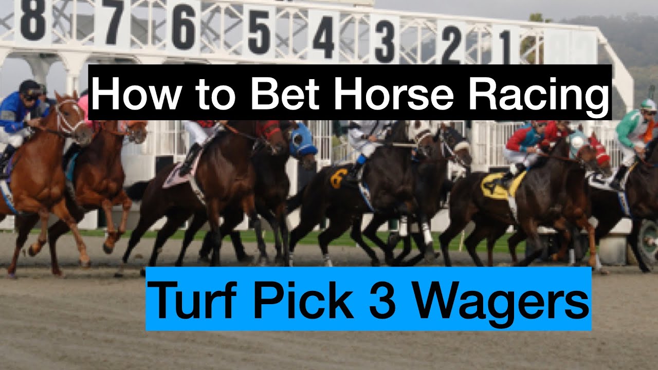 How To Bet Horse Racing: Turf Pick 3 Money Making Strategies - YouTube
