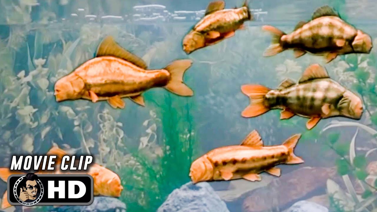 THE MEANING OF LIFE Clip Fish 1983 Monty Python Movie YouTube