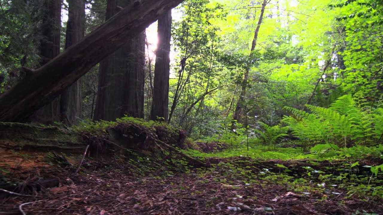 2KX - Sussuration Official Video (full length) - YouTube