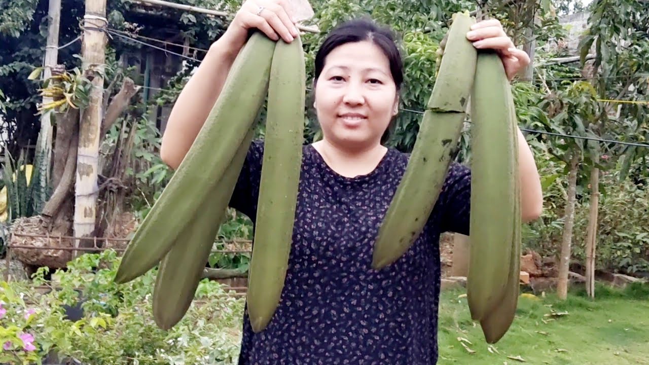 Indian trumpet fruit recipe 😋Shamba - YouTube