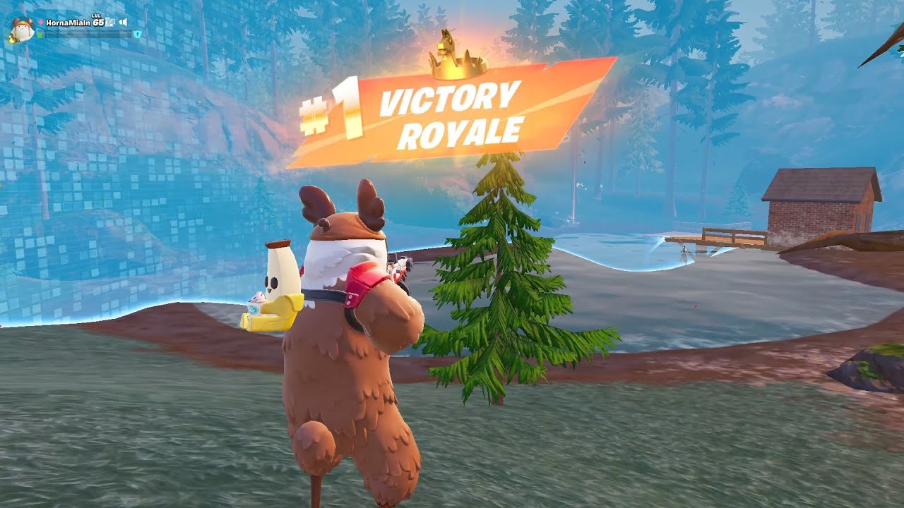 Fortnite Battle Royale Duos Victory Royale game (Chapter 5 Season 2 ...