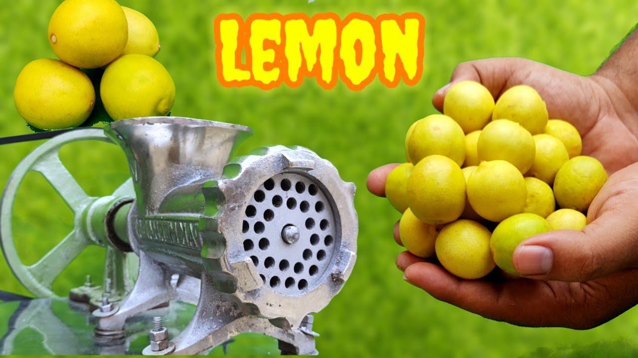 EXPERIMENT Lemon Vs meat Grinder || Lemon Grinding || Lemon Juice - YouTube